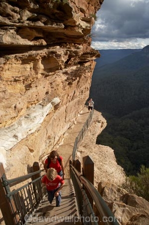 National Pass Trail Overhanging Jamison Valley, Wentworth Falls, Blue ...