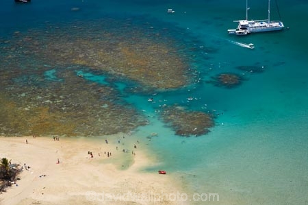 Wavedancer Tourist Boat and Snorkelers, Low Isles, Great Barrier Reef ...