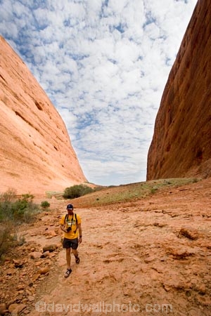 Hiker, Waipa Gorge, Kata Tjuta, Uluru _ Kata Tjuta National Park, World ...
