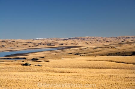 Lammermoor Range and Logan Burn Reservoir ( Great Moss Swamp ), Old ...