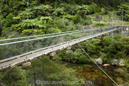 Swingbridge, Ohinemuri River, Karangahake Gorge, near Paeroa, Waikato ...