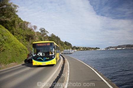 Passenger Bus, Portobello Road, Vauxhall, and Otago Harbour, Dunedin ...
