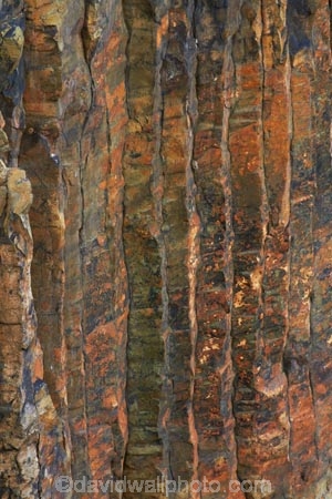 Basalt lava columns, Lovers Leap, Sandymount, Otago Peninsula, Dunedin ...
