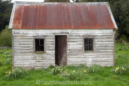 Derelict Cottage Near Mount Bruce, Wairarapa, North Island, New Zealand