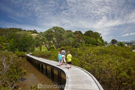 Family on boardwalk across mangroves, Sandspit, near Warkworth ...
