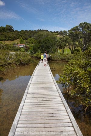Family on boardwalk across mangroves, Sandspit, near Warkworth ...