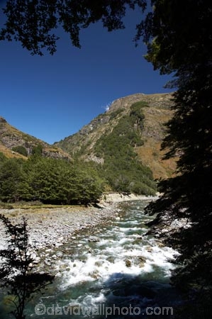Confluence of Greenstone and Caples Rivers, Greenstone Track ...