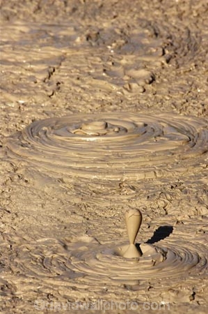 Boiling Mud in thermal area, Rotorua