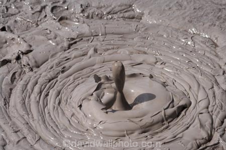 Boiling Mud in thermal area, Rotorua, North Island, New Zealand