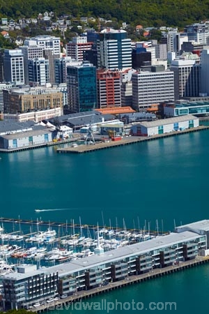 View of Wellington CBD, harbour and Chaffers Marina, from Mount ...