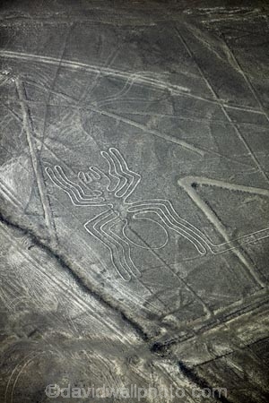 The Spider, Nazca Lines, (ancient geoglyphs and World Heritage Site) in ...