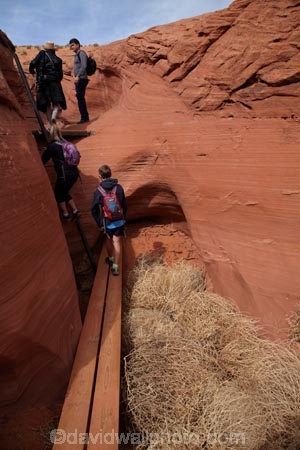 Tourist, tumbleweed, and ladder at entry to Rattlesnake Canyon, near ...